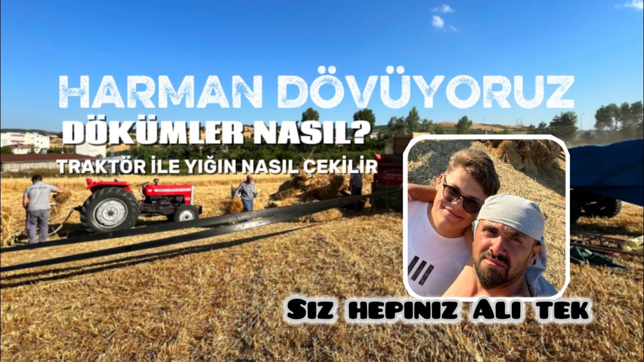 HARMAN DÖVÜYORUZ!!/SİZ HEPİNİZ ALİ TEK…!! - YouTube
