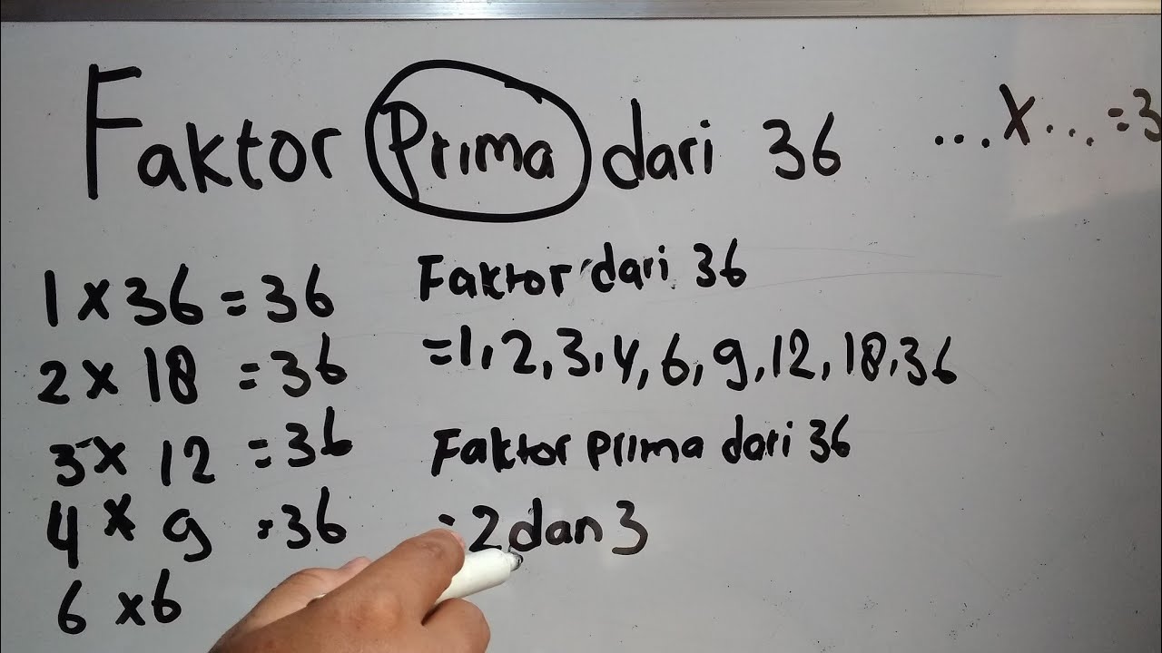 faktor prima dari 36 - YouTube
