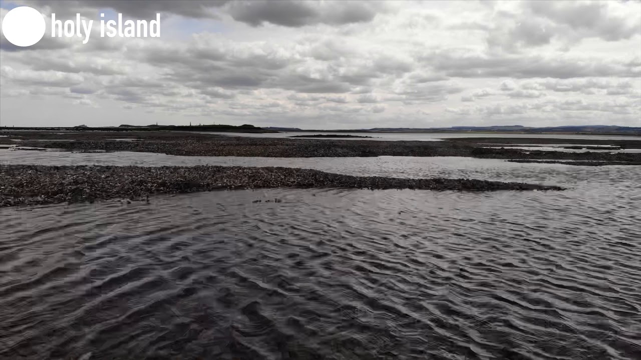 Holy Island: seals from drone - YouTube