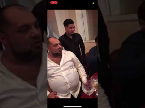 stefan canta pentru zobar in america