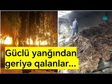 Gəncədə fabrikdəki dəhşətli yanğında ölən var? - Rəsmi Açıqlama | Son Görüntülər