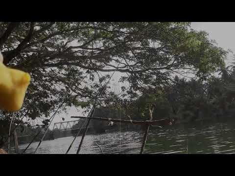 Mancing belanak sambil mandiin udang bugil
