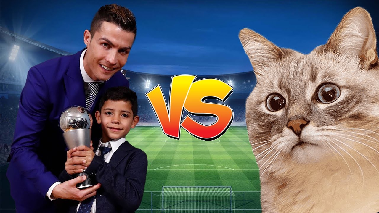 ⚡️Ronaldo and Son VS Cat🐈 - YouTube