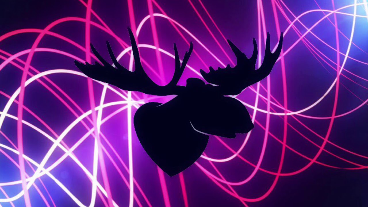 MooseMusic - Dizzy Dream [Official Audio] - YouTube