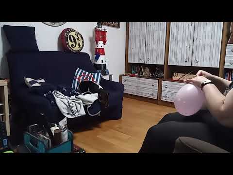 Freddy , Hauptsache es knallt gleich! Luftballons zerreißen...