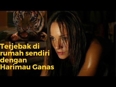 Terjebak di rumah sendiri dengan Harimau Ganas!!! Alur Cerita Film