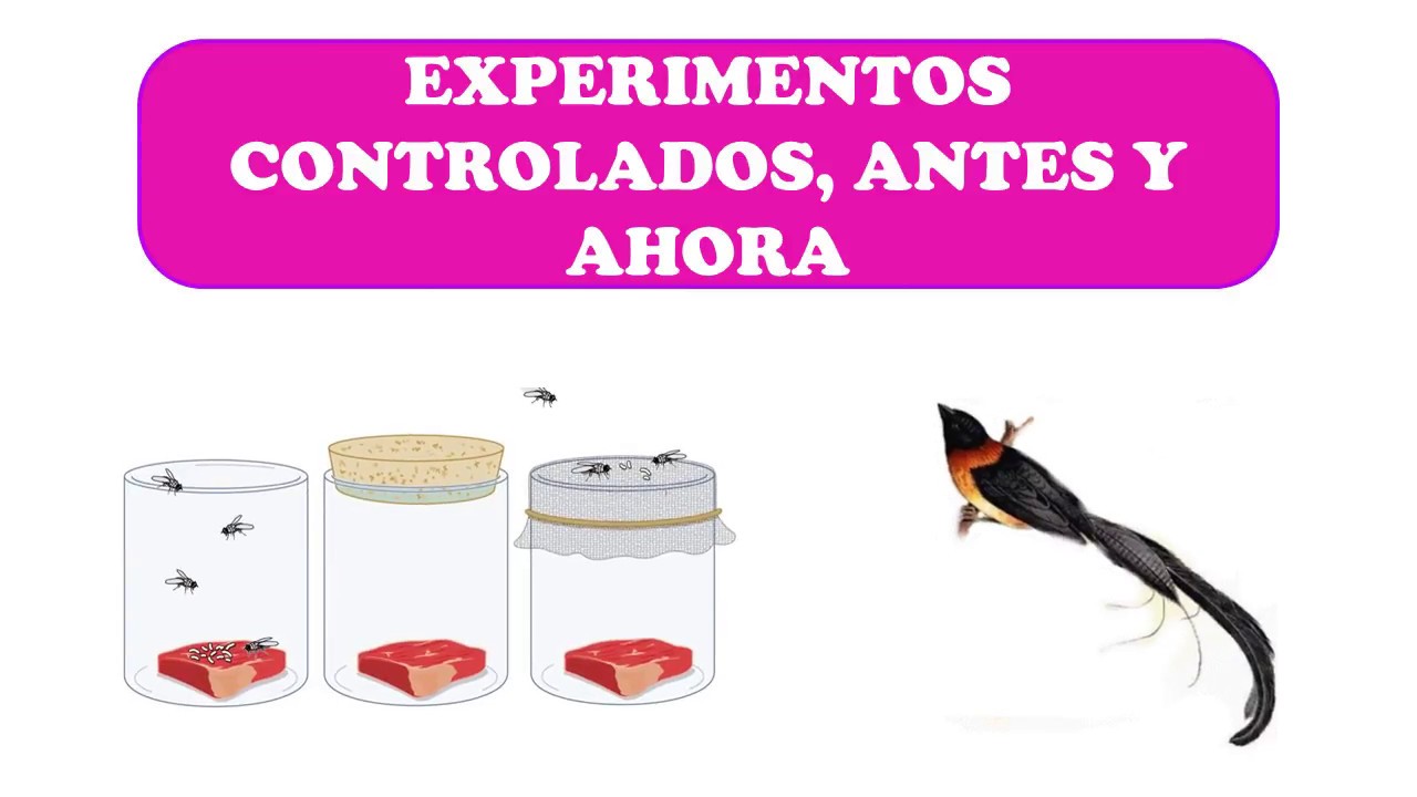 Experimento Controlado Qual A Vantagem De Se Usar Um Experimento
