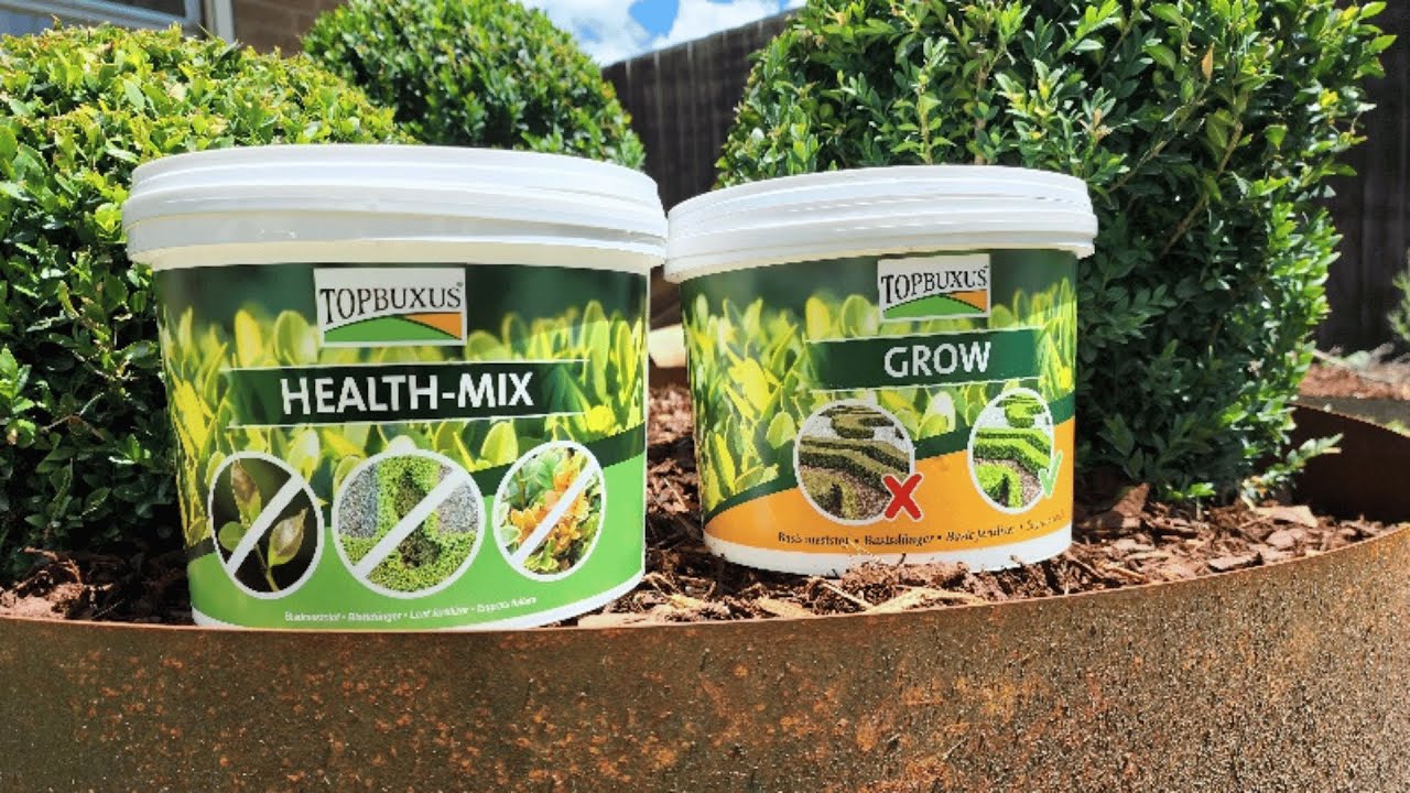Why use Topbuxus products over other fertlisers for your Buxus health ...