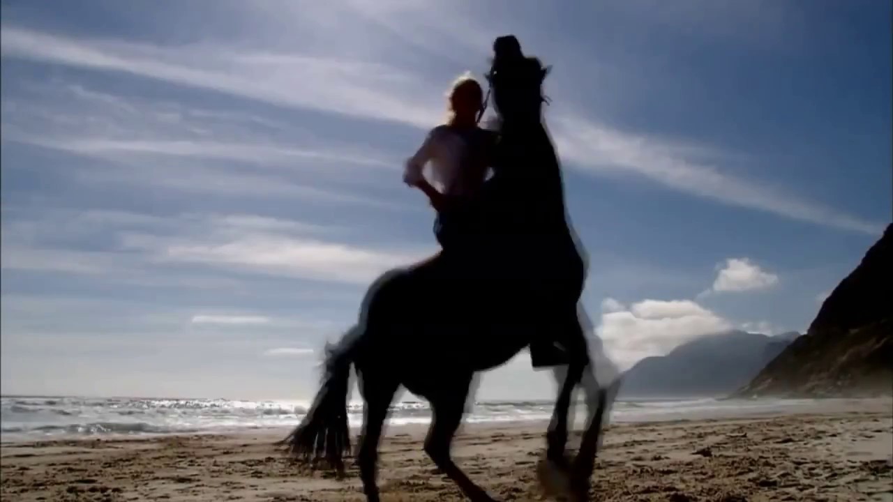 Amazing galloping horses - YouTube