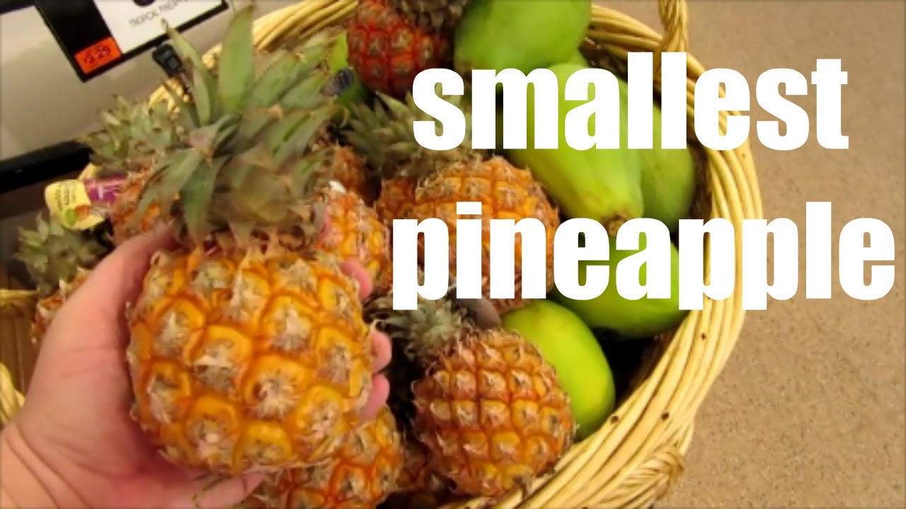 8-13-15 Daily Vlog #354 | SMALLEST PINEAPPLE - YouTube
