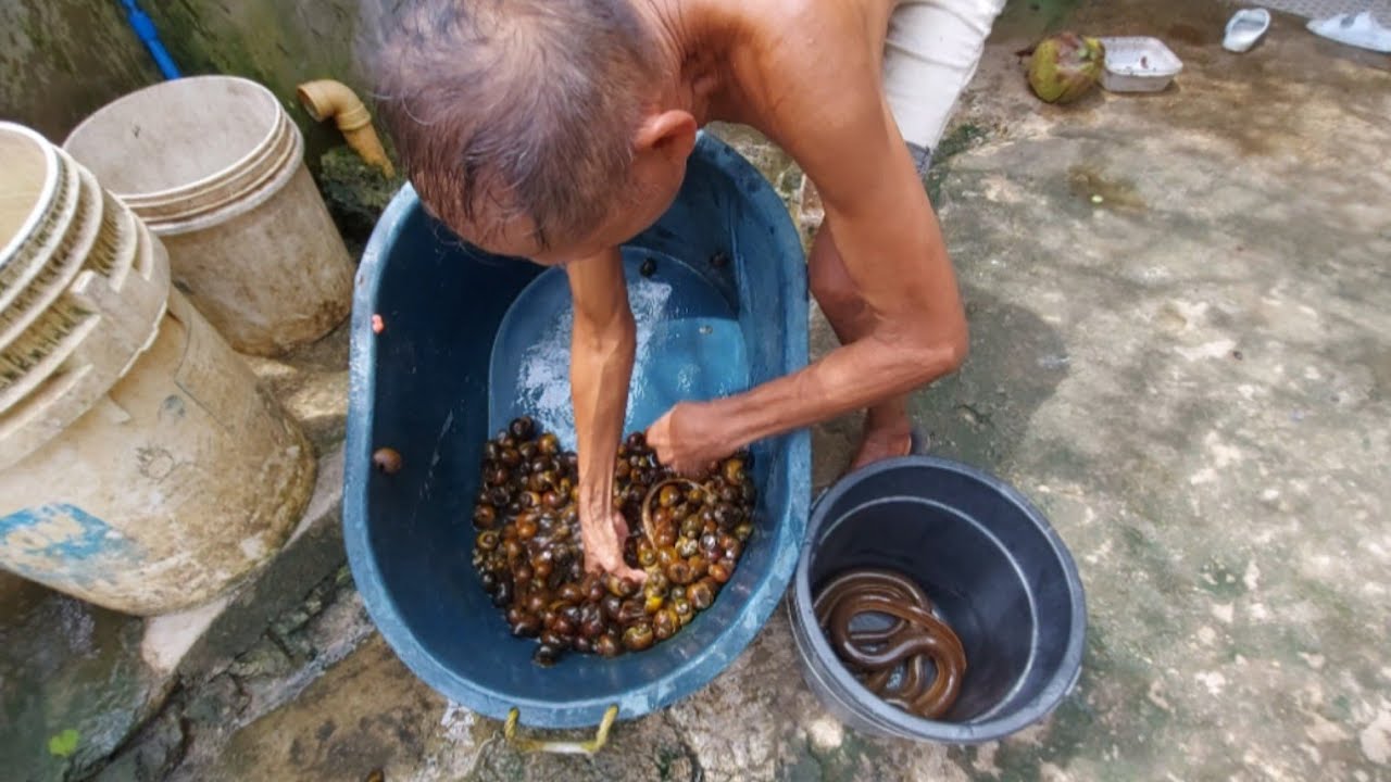 80yrs old cooking bisokol shell! - YouTube