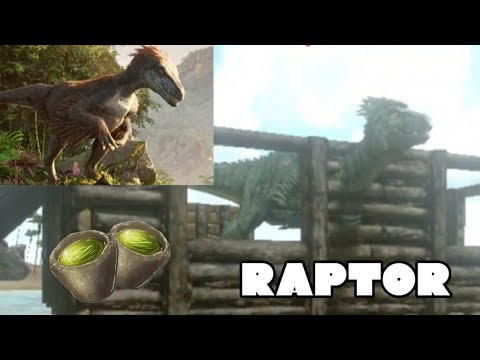 Como tamear al Raptor en ARK MOBILE (muy fácil) - YouTube