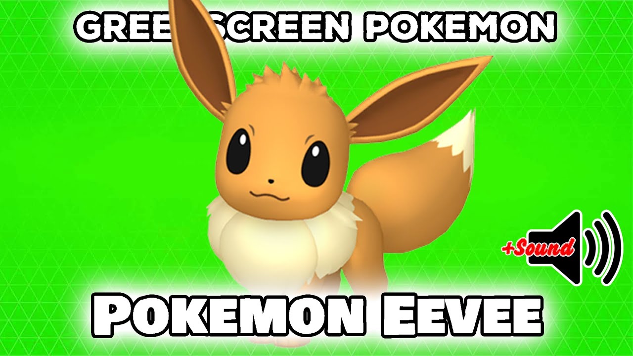 Pokemon Eevee | GreenScreen | Pokemonn GO | 👍POGO - YouTube