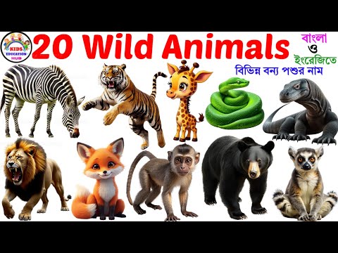 Wild Animals Name |20 Wild Animals Name in English with Pictures| Animals Vocabulary for Tollders 