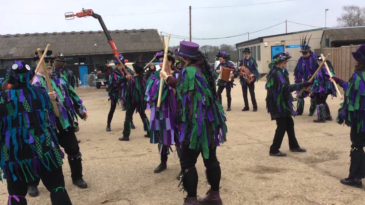 Wicket Brood dance "Ragged Crow" @ Oakland's College, St. Albans - YouTube