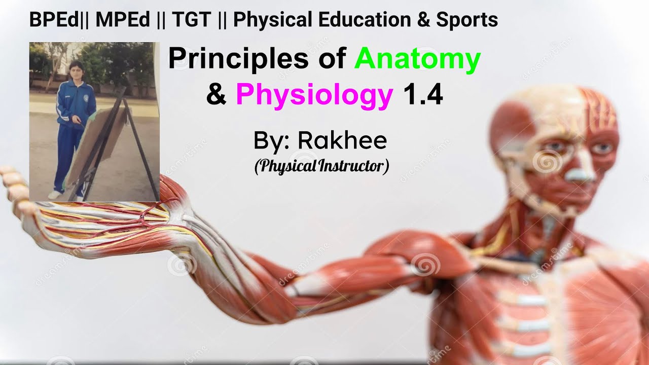 Principles of Anatomy & Physiology 1.4 || BPEd || MPEd || UGC NET ...