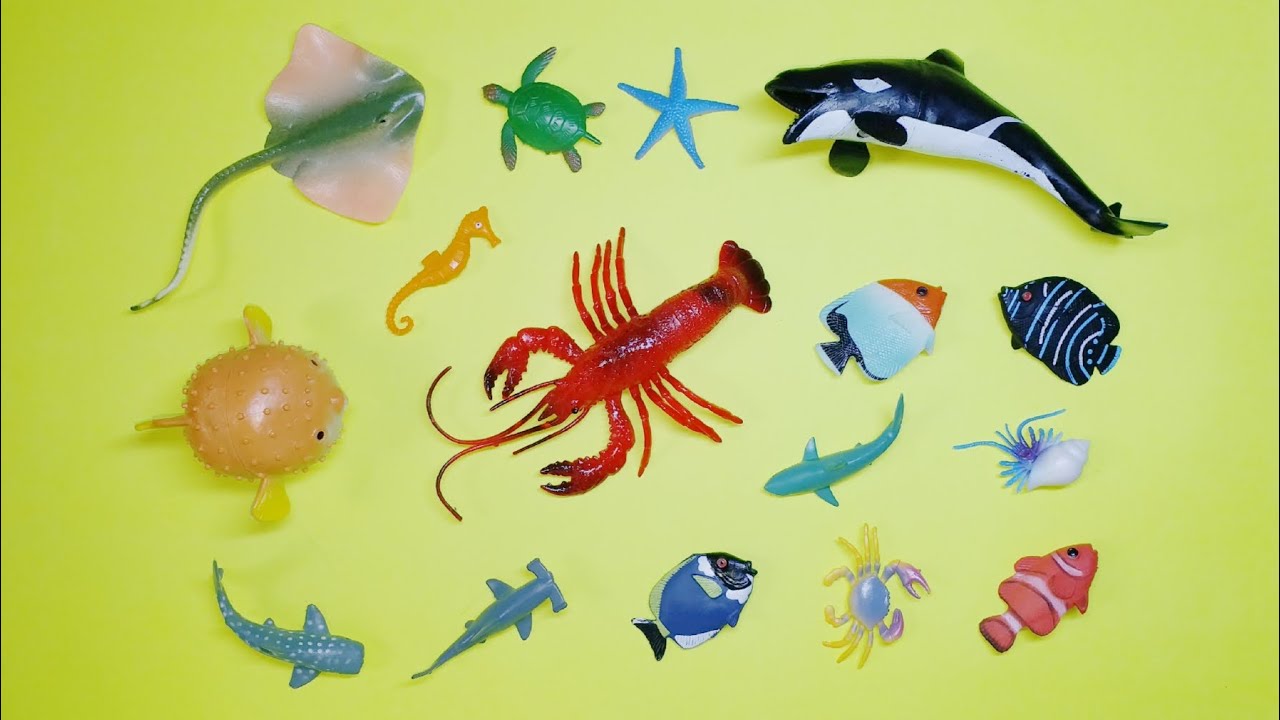 Collect 7 Sea Animals Hammerhead Shark, Orca Whale, Whale Shark, Hermit ...