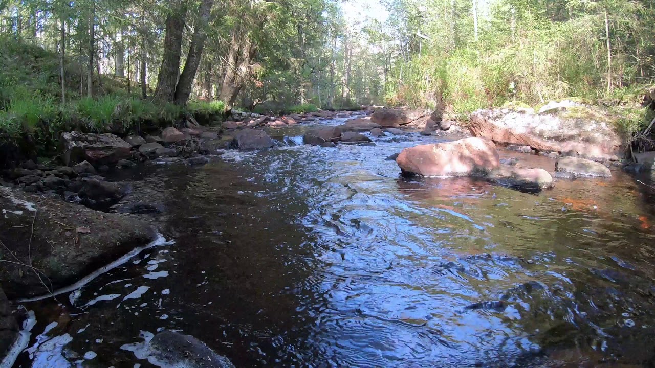 4K Slow flowing stream - calming and soothing - YouTube