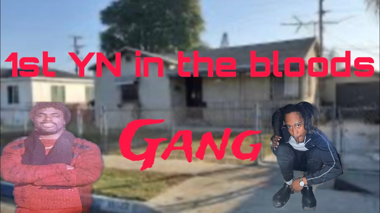 1st YN in the Bloods Gang ( Piru Founder) - YouTube