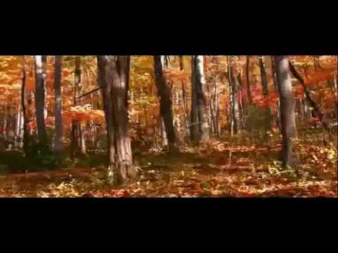 Kahrın da Hoş, Lütfun da Hoş - Yunus Emre