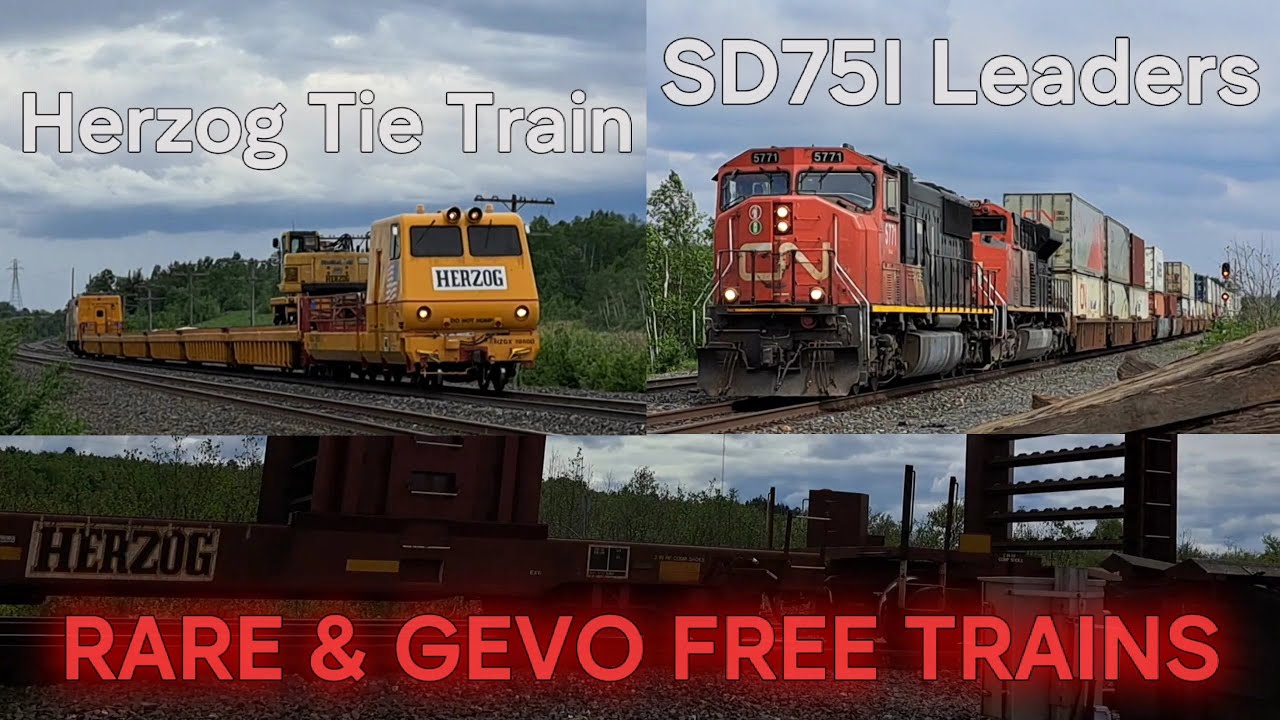 ALL THE RARE TRAINS IN ONE VIDEO! CWR, EMD MADNESS, HERZOG, CLASSICS ...
