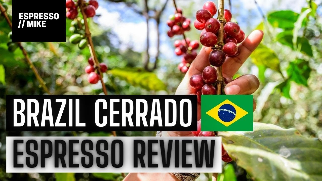 Brazilian Cerrado Coffee - Espresso Review - YouTube