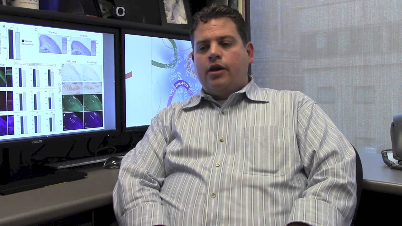 Loyal Goff on RNA in the Developing Brain - YouTube