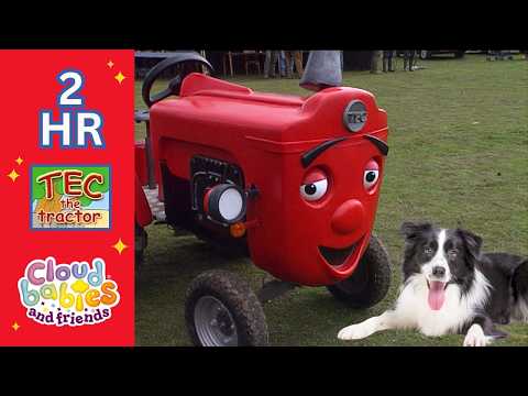 Tec the Tractor 🐑 Farm Animals Special | Sheepdog Trials & More | 2 Hour | Cloudbabies & Friends