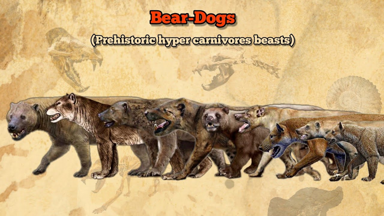 Prehistoric Bear Dog