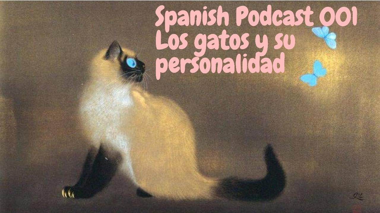 Low Intermediate Spanish Podcast: "Los gatos y su personalidad" (with ...
