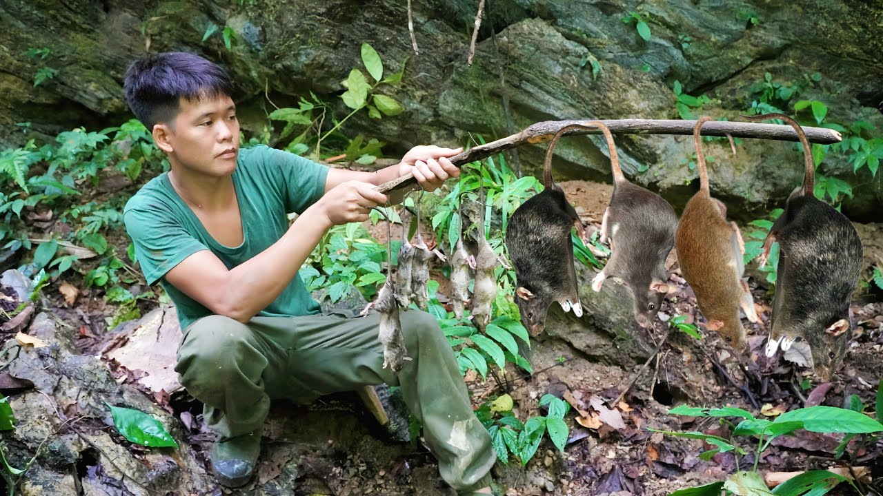 Survive alone in the wilderness, traces of furry wild animals, traps ...
