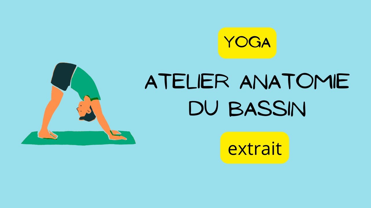 Extrait de l'atelier sur l'anatomie du bassin - lecture des corps dans ...