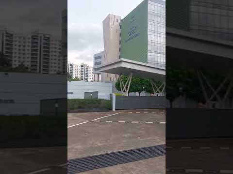 TCS Hinjewadi Phase 3 Sep 2022 #pune #hinjewadi #tcs - YouTube