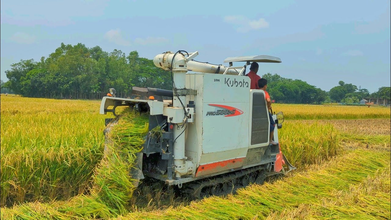 Pro588i-G Machine l Rice Harvesting using Modern Methods l Tractor Life ...