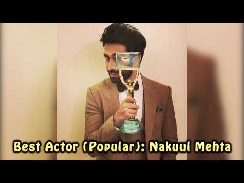 ITA Awards 2017 Winners | Jennifer Winget | Nakuul Mehta | Helly Shah
