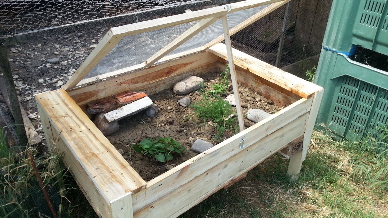 Terrario per Tartarughe - YouTube