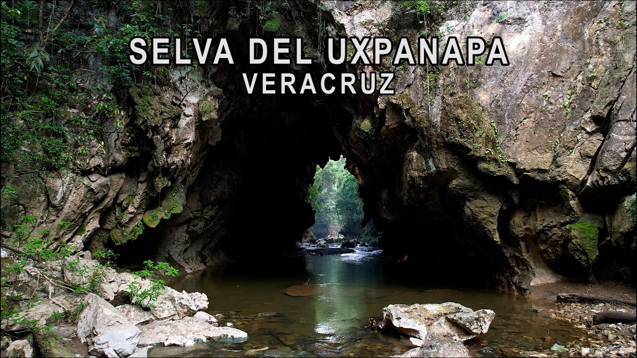 Veracruz indomable || La región inexplorada del Uxpanapa. - YouTube