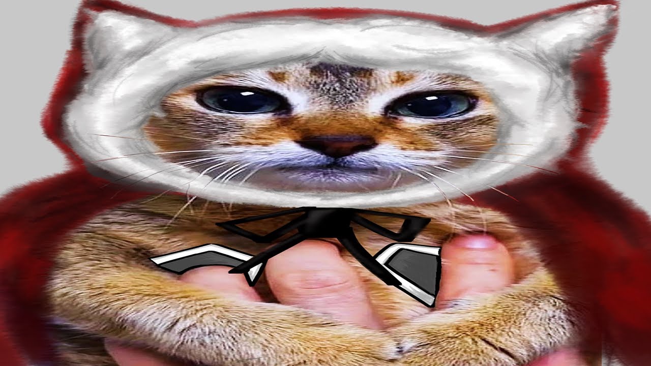 - YouTube