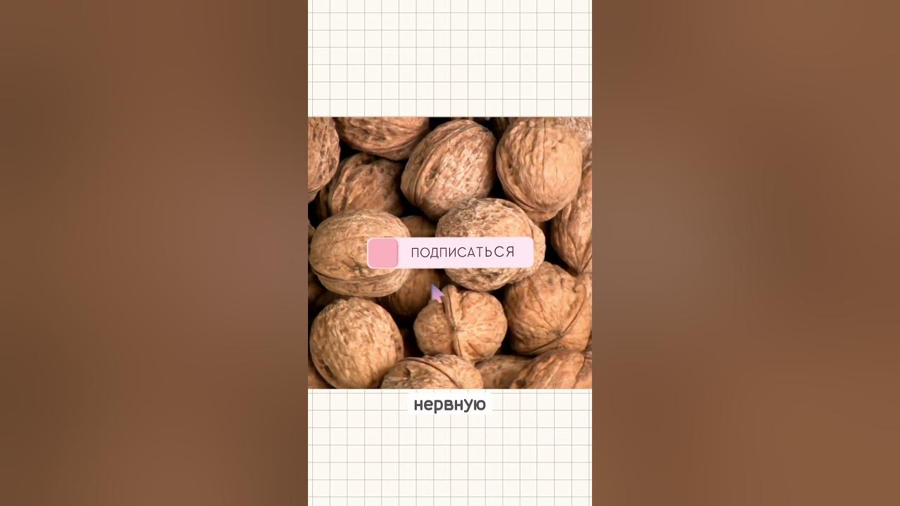 ПРОРОЩЕННЫЕ ГРЕЦКИЕ ОРЕХИ - YouTube