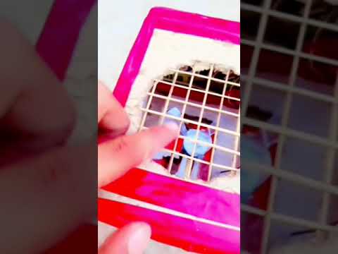 Cular Fan mini Cular Fan of automaticly - YouTube