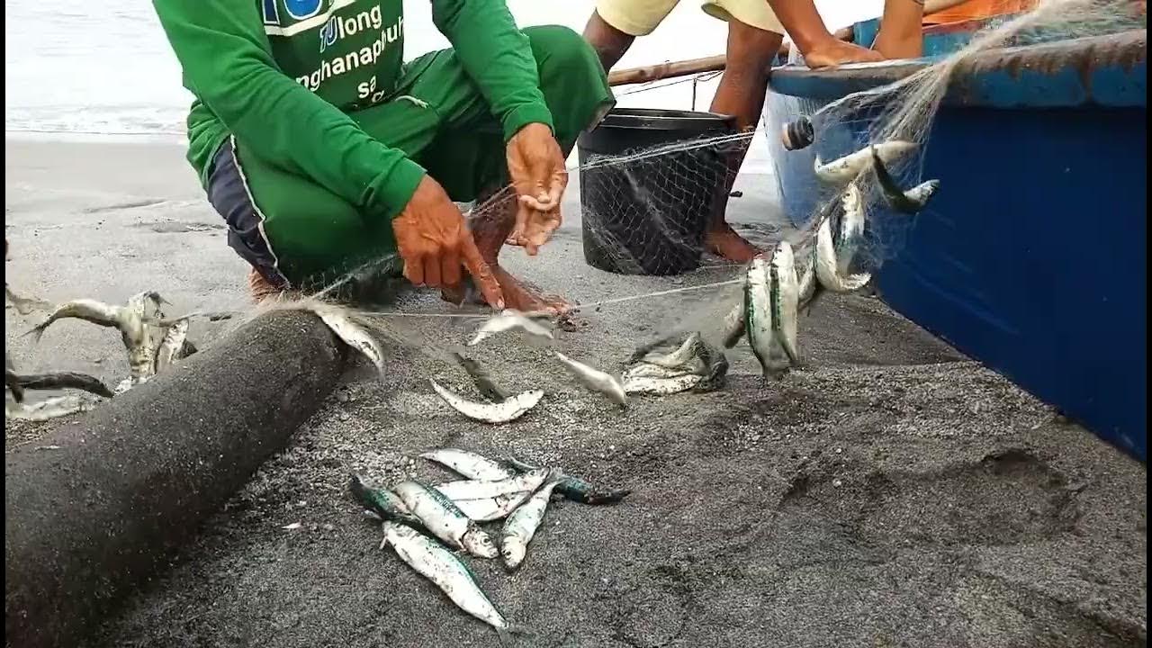 Sariwang isda bagong huli si dagat - YouTube