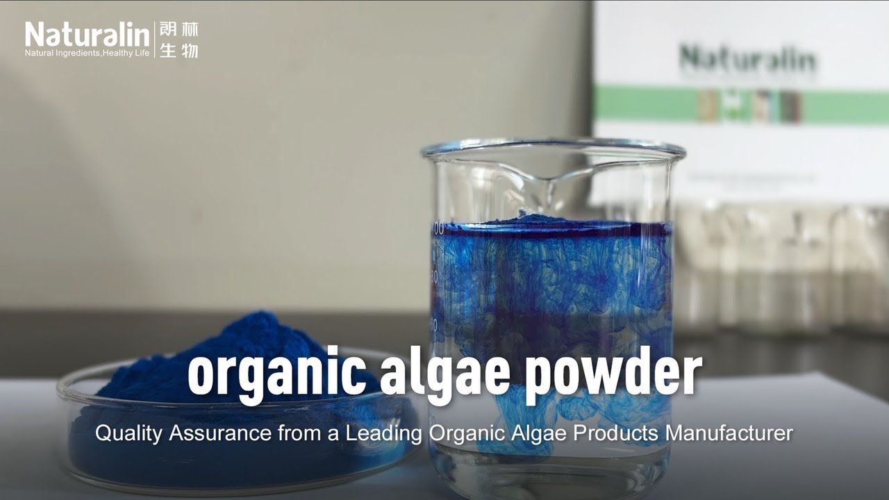 Organic algae powders: Organic Spirulina Powder, Chlorella Powder ...