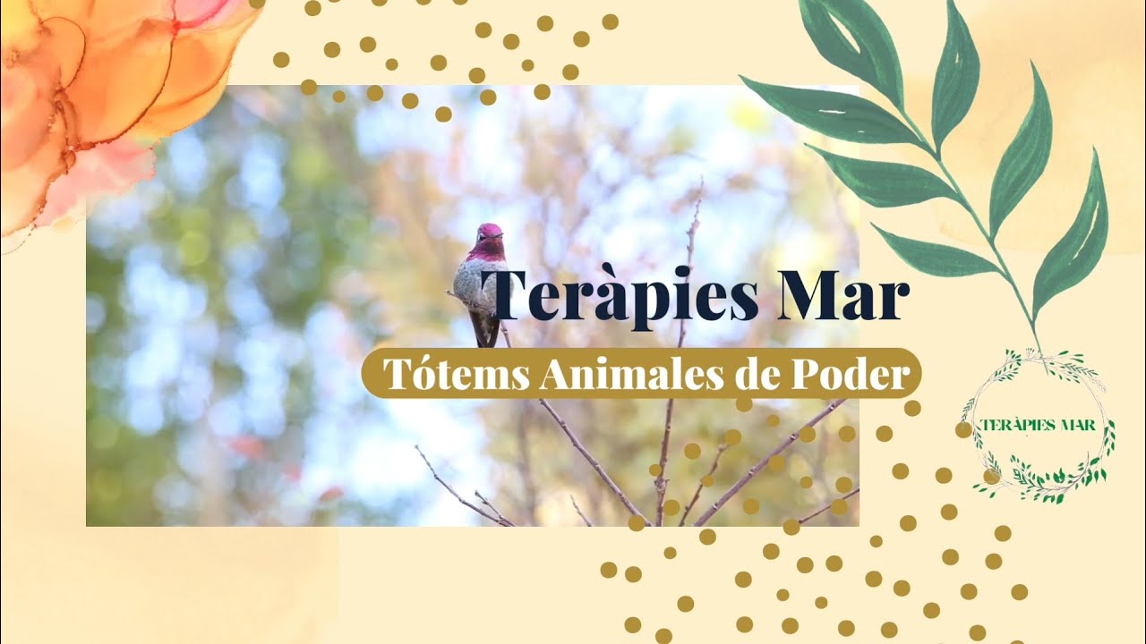 Animales de Poder, Tótems - YouTube