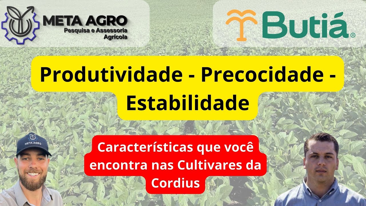 Cultivares de Soja Cordius - C2530RR - C2570RR - C2531E - YouTube