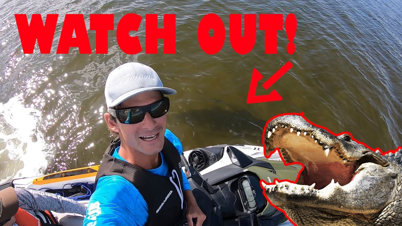 Watch Out for Alligators while Fishing! - YouTube