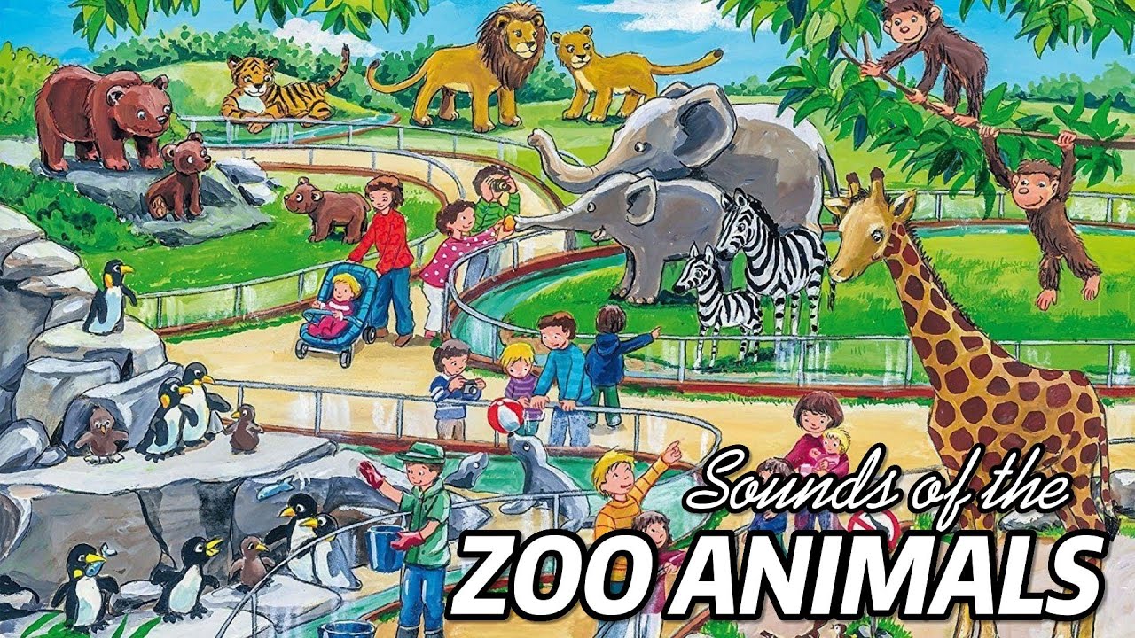 Realistic Sounds of the Zoo Animals: lions, monkeys, elephants ...