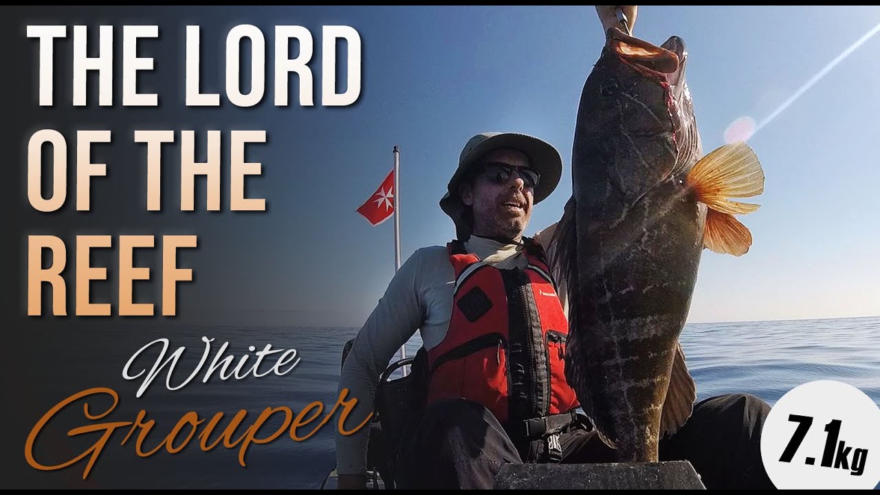 My Biggest fish ever | White Grouper 7.1kg on my kayak Toughest Battle😮 ...