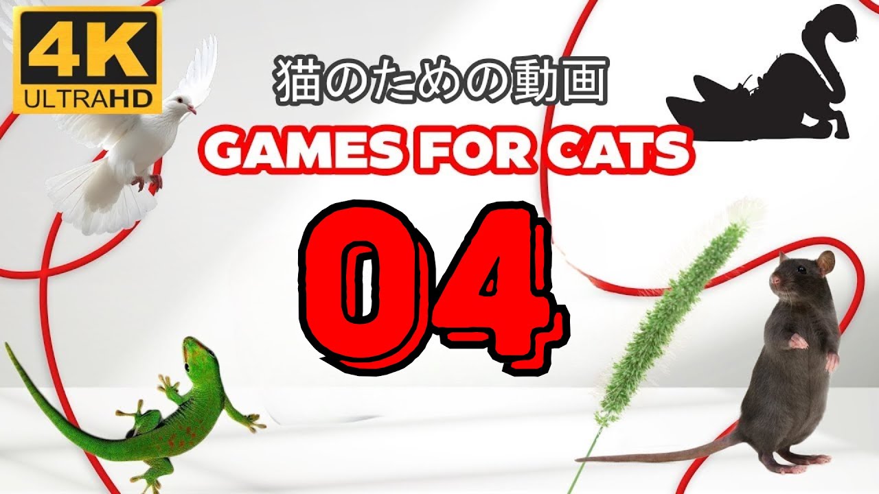 【猫向け動画 MIX 04】ネズミ、| トカゲ、鳥、| ヒモ 3時間 GAME FOR CATS 02 🐱 🌟🐟 😺😺😺 - YouTube