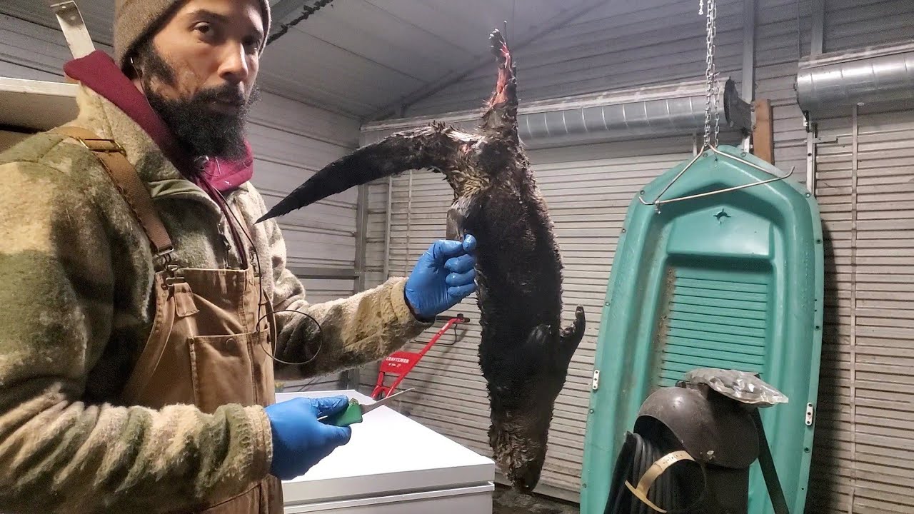 How to skin an Otter #lazypondfarm Fish & Hunt - YouTube