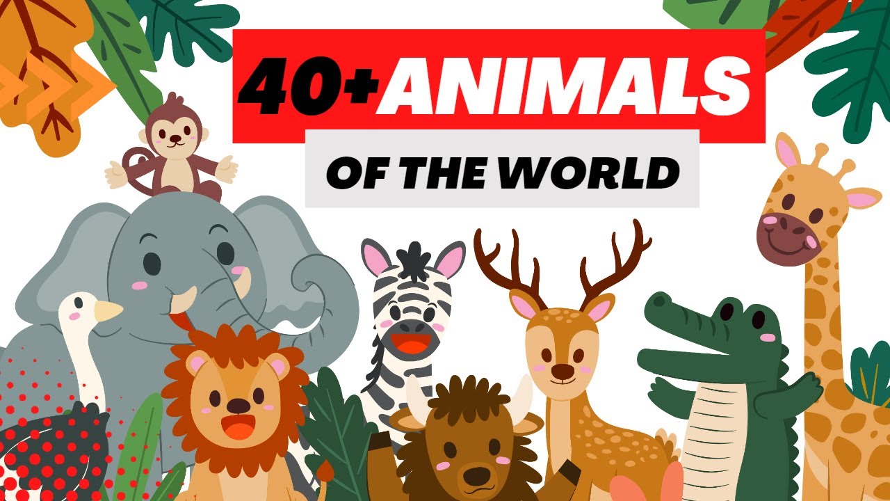 40+ Animals of the World - Learning the Different Names of the Animal ...